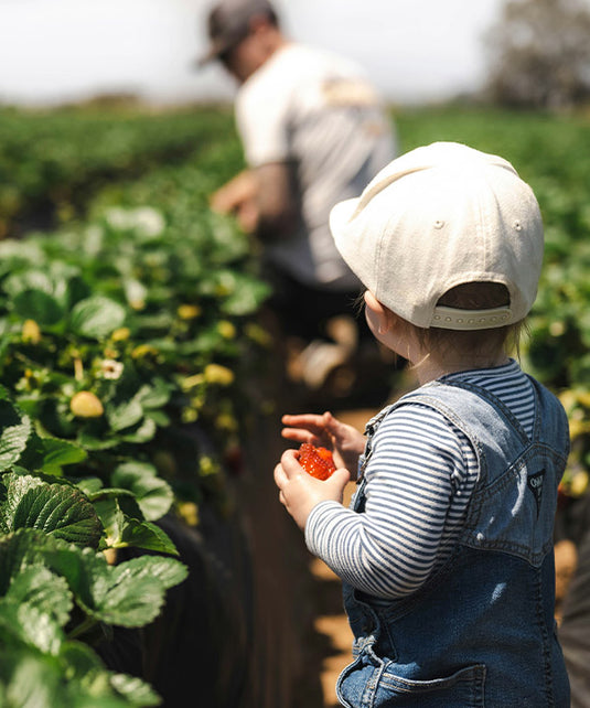 Obstanbau Griedelbach – Obstanbau Griedelbach